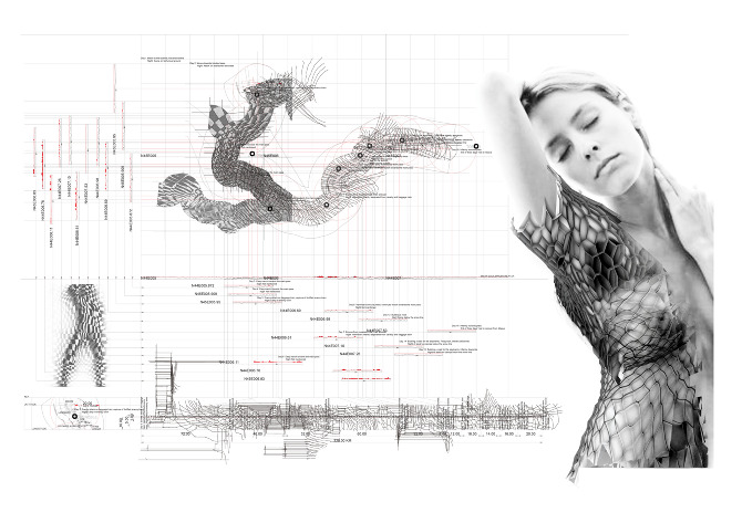 Fashion - SKIN GRAPH